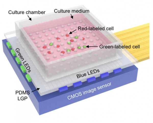 Miniaturized multicolor fluorescence imaging system integrated with a ...